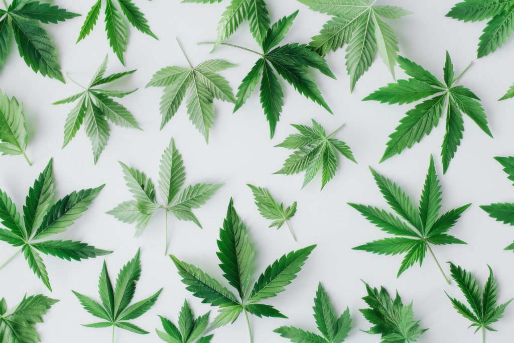 What is Grabba? | Jah Livity